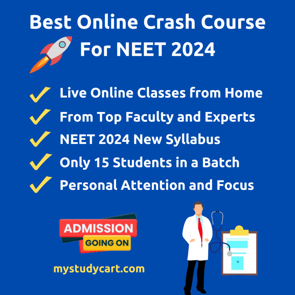 Class 11 or Class 12 – Which is More Important for NEET?