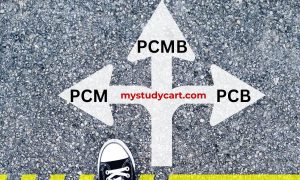 PCM, PCB, PCMB – Which Subjects to Choose in Class 11?